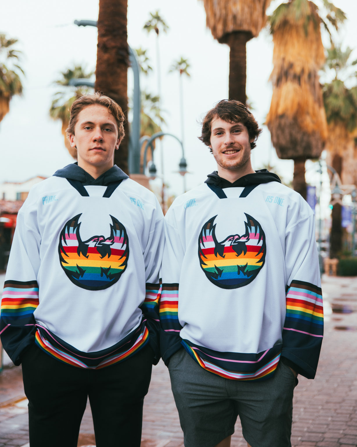 FIREBIRDS IN FIRST PLACE IN AHL HOCKEY PACIFIC DIVISION - Coachella ...