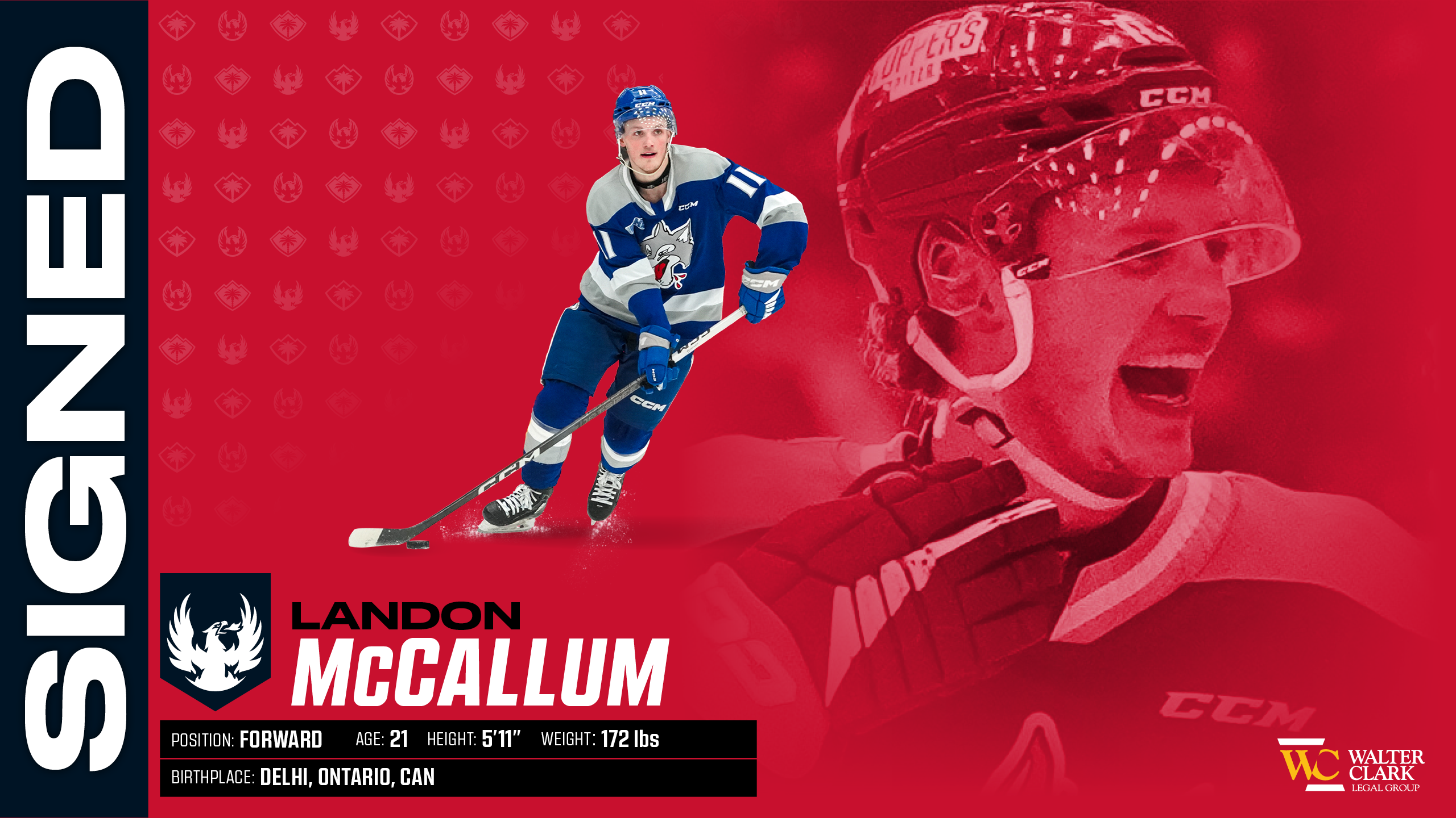 FIREBIRDS ADD ROOKIE FORWARD LANDON McCALLUM - Coachella Valley Firebirds