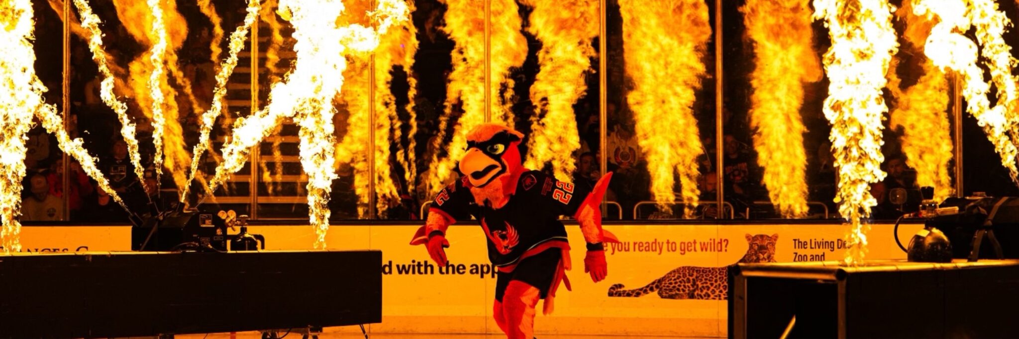 Fuego - Coachella Valley Firebirds